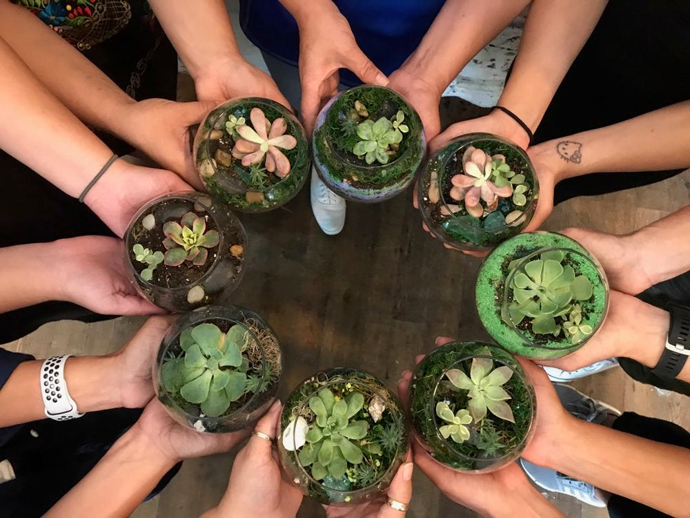 Build your own Terrarium -May 8th 1:30-3:30 – One Strange Bird